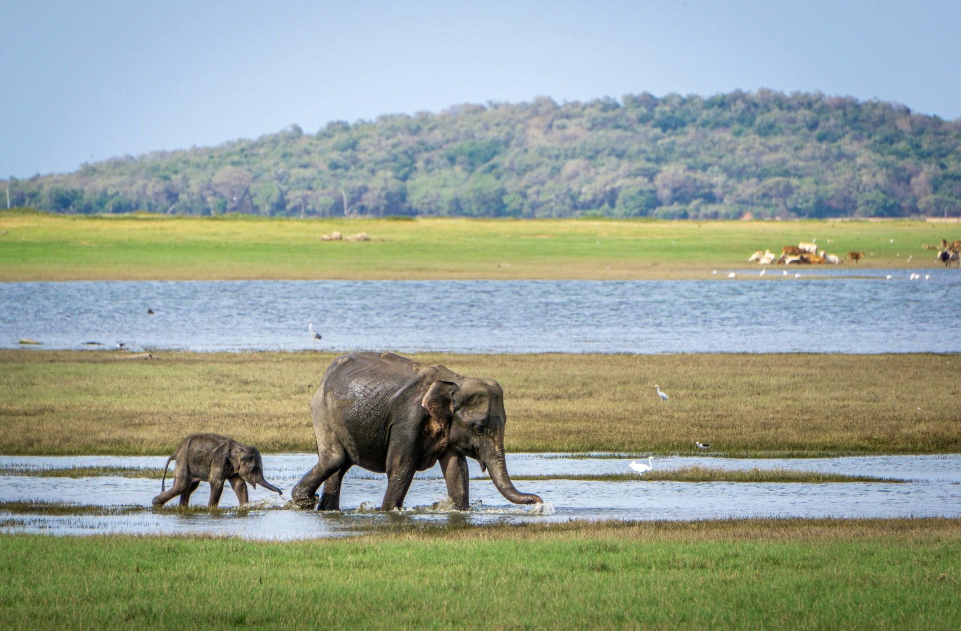 Fix big cursors in Java applications in Wayland · Major Hayden